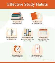 How to Develop Good Study Habits for College Success: Essential Strate ...